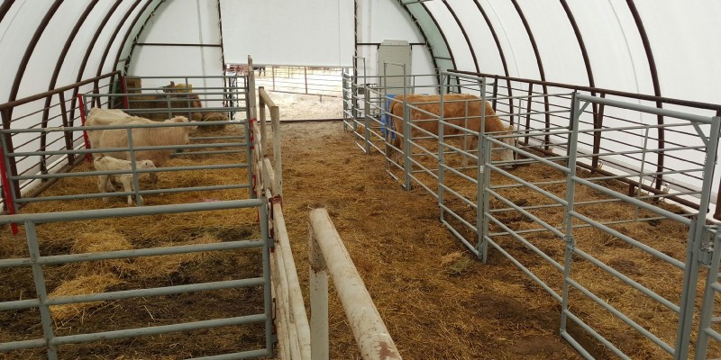 Keep Your Cows Warm in Winter during Calving Season